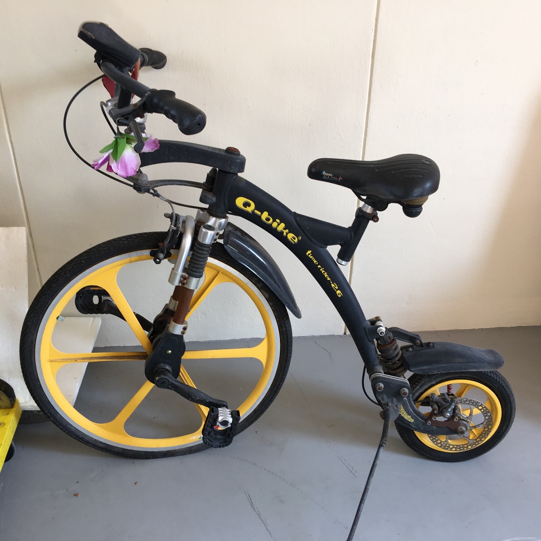 Rare Q Bike., Sports Equipment, Bicycles & Parts, Bicycles on Carousell