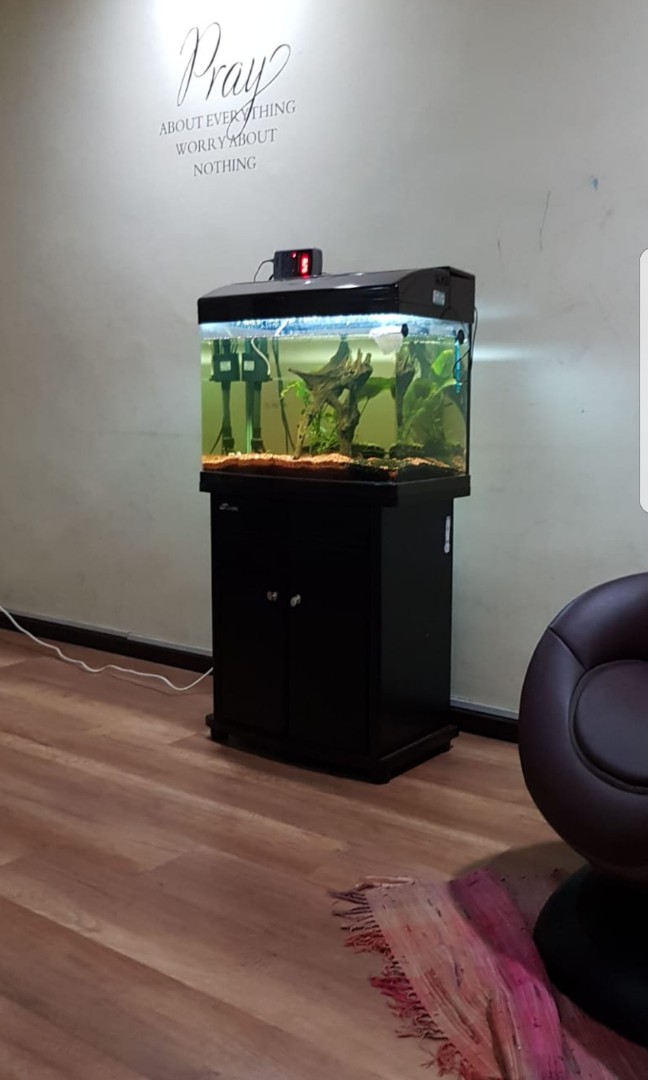 2 ft tank, Pet Supplies, Homes & Other Pet Accessories on Carousell