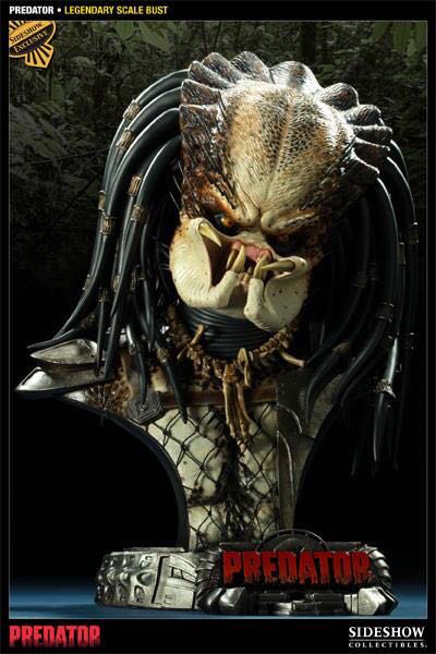 Sideshow Predator Legendary Scale Bust Exclusive, Hobbies & Toys ...