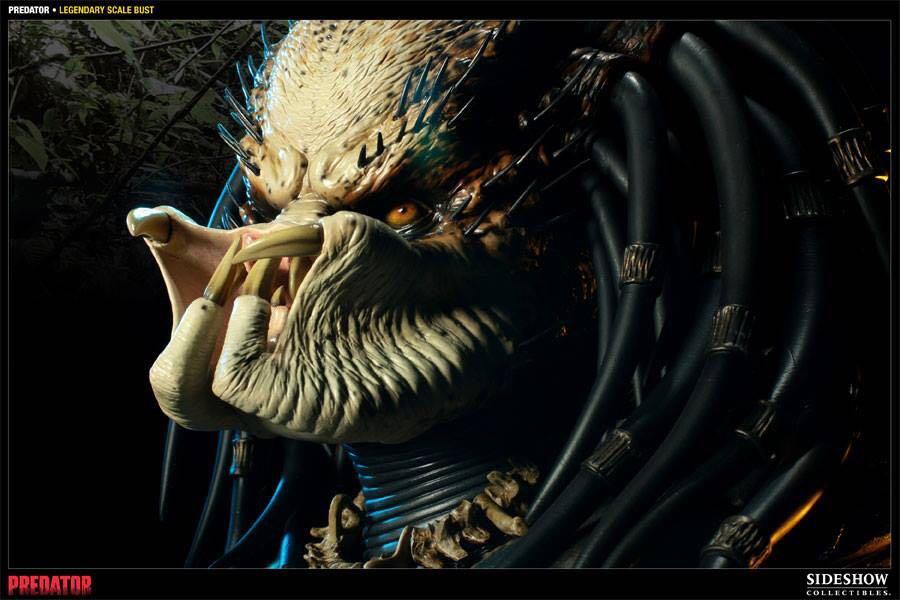Sideshow Predator Legendary Scale Bust Exclusive, Hobbies & Toys ...