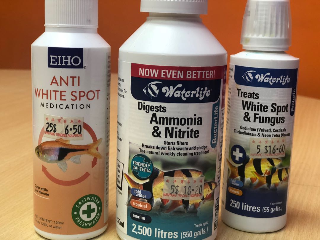 Waterlife Ammonia & Nitrite Remover, Pet Supplies, Health & Grooming on ...