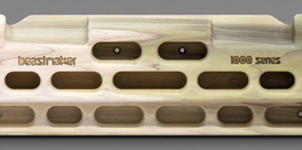 [NEW] Beastmaker 1000 Hangboard, Sports Equipment, Fishing on Carousell