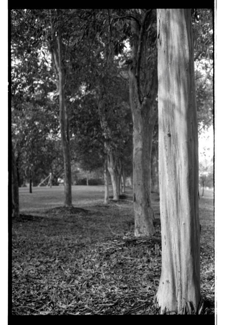 Olympus 35 SPn, Photography, Cameras on Carousell