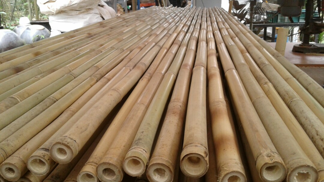 Raw Bamboo poles, Furniture & Home Living, Home Improvement ...