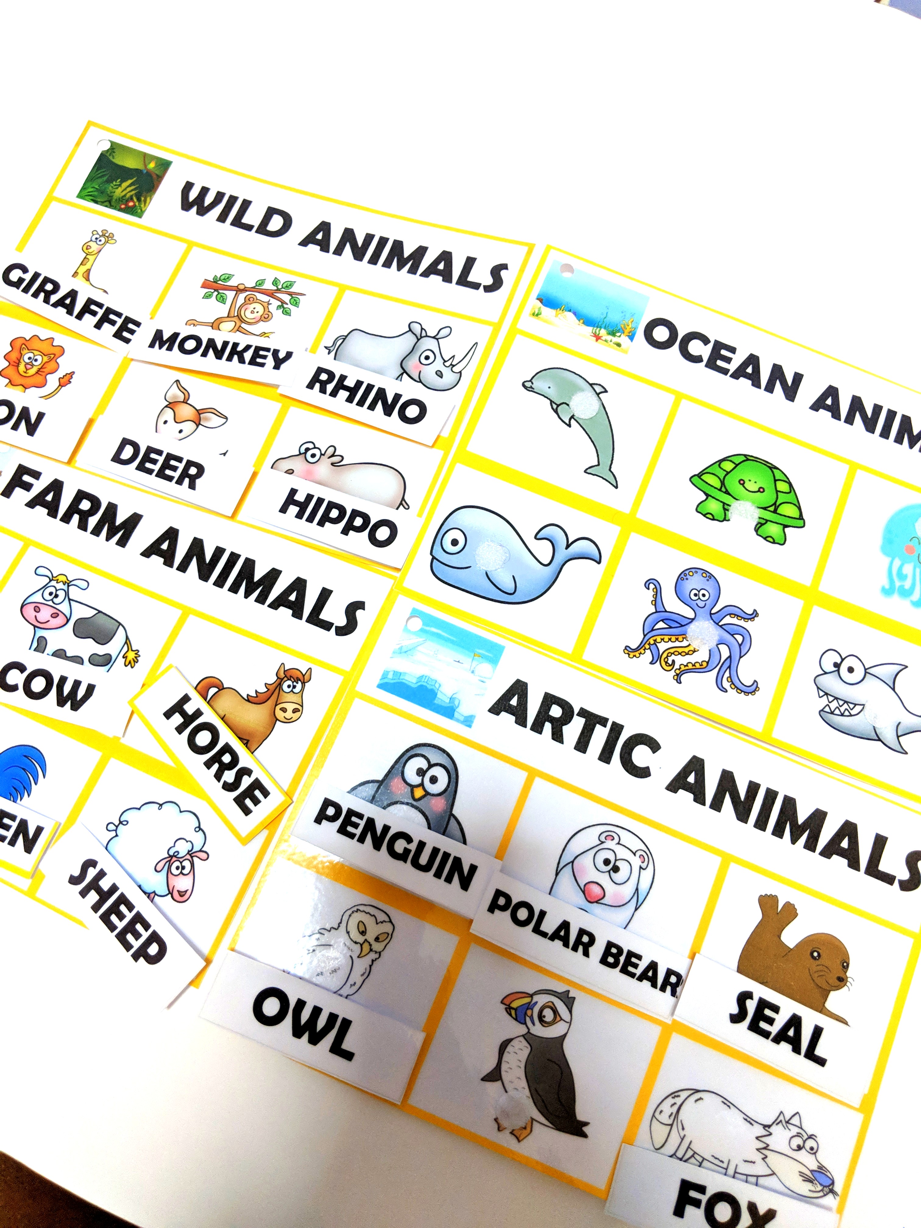 Animal Sorting Activity, Babies & Kids, Infant Playtime on Carousell