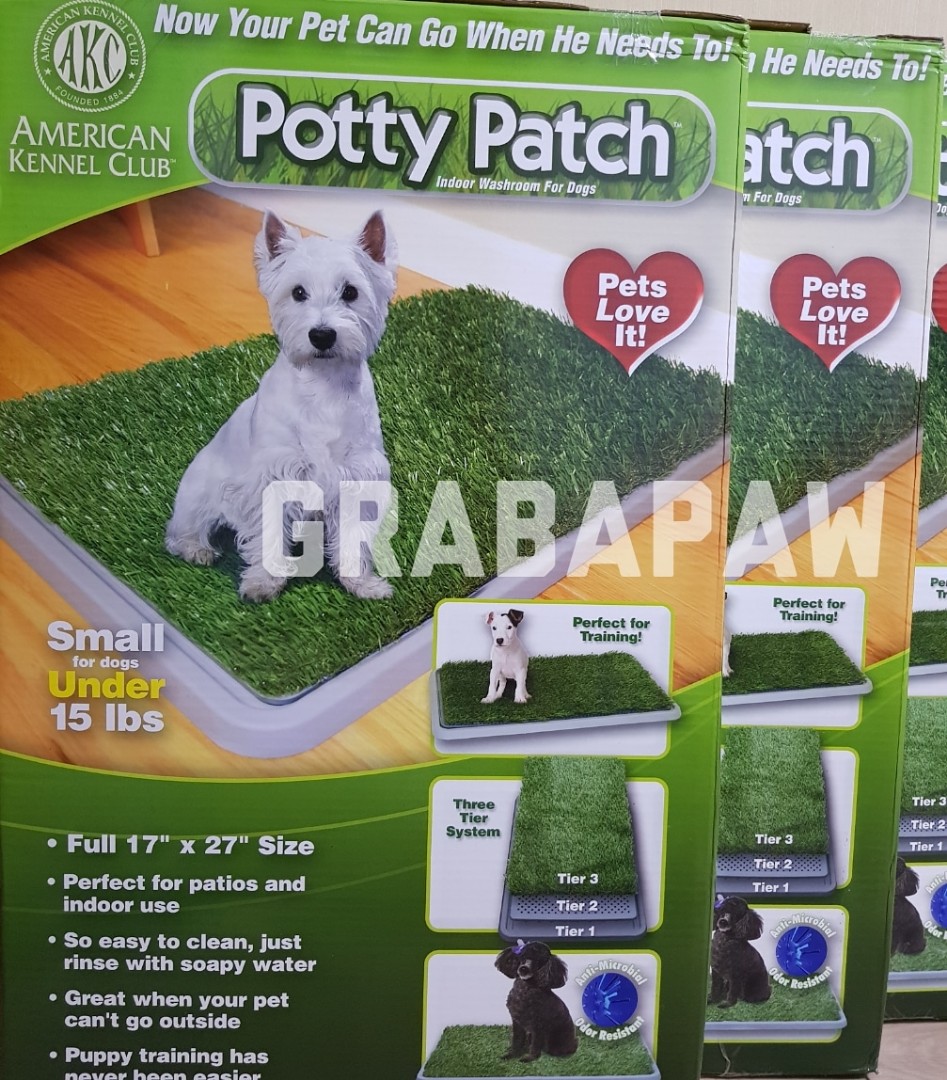 Grass Pee Tray (Potty Patch), Pet Supplies, Homes & Other Pet ...