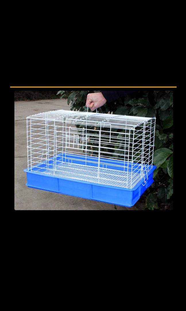 Pet cage, Pet Supplies, Homes & Other Pet Accessories on Carousell