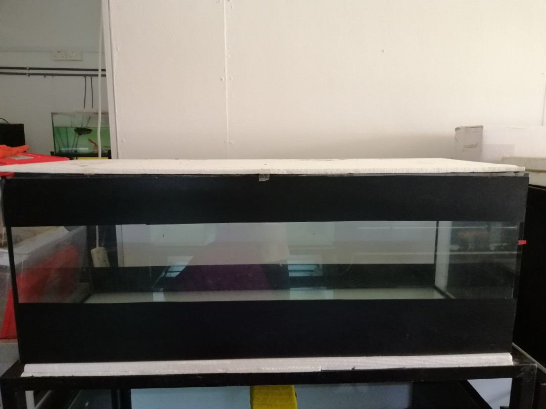 4ft tank, Pet Supplies, Homes & Other Pet Accessories on Carousell