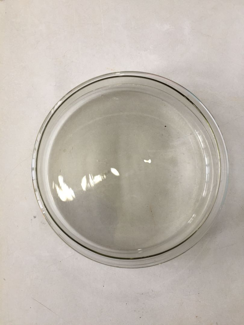 Bomex Glass Petri Dish, Furniture & Home Living, Kitchenware ...