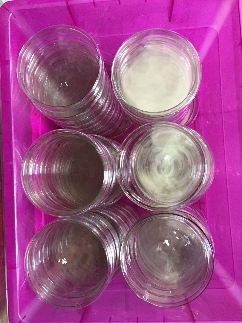 Bomex Glass Petri Dish, Furniture & Home Living, Kitchenware ...