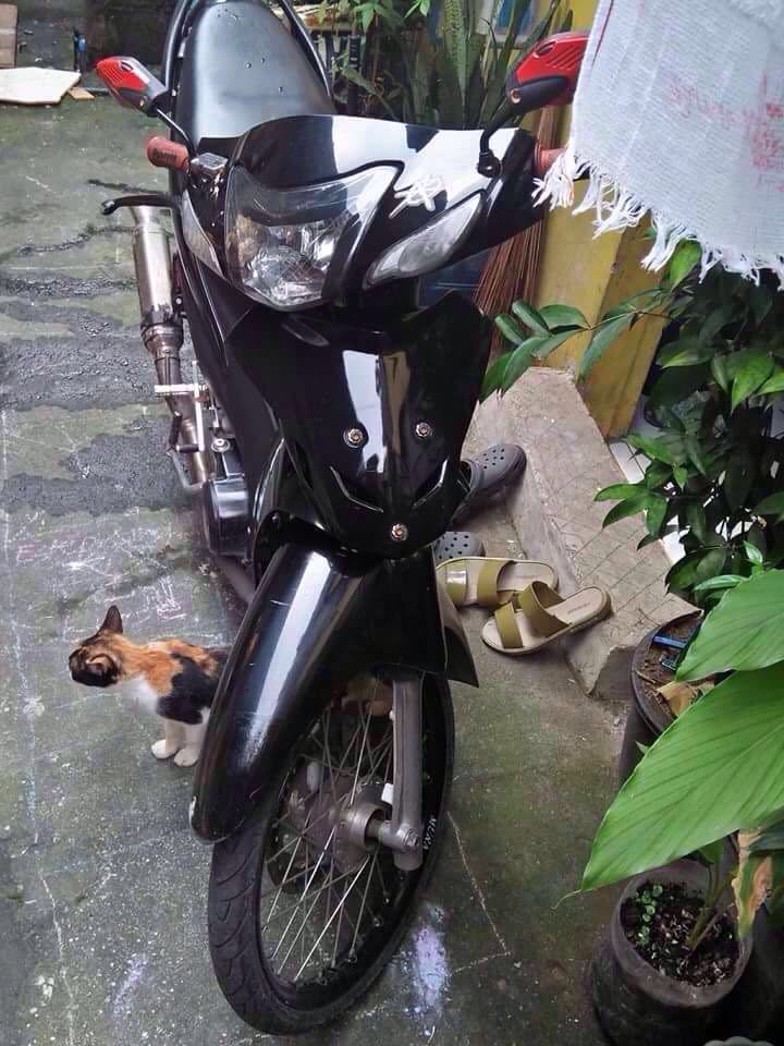 Honda wave 100/ 2009 model, Motorbikes on Carousell