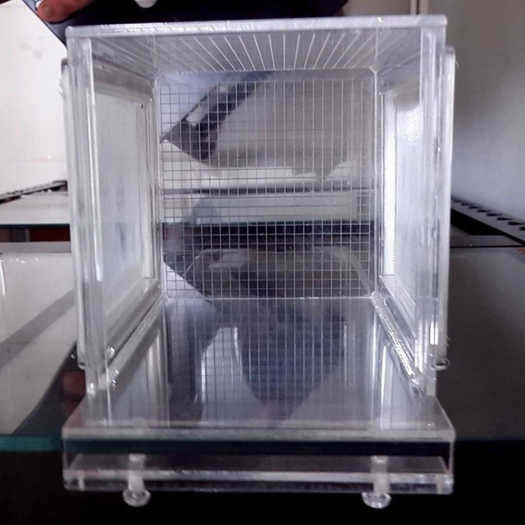 Shrimp Breeder Box, Pet Supplies, For Fish, Fish Food on Carousell