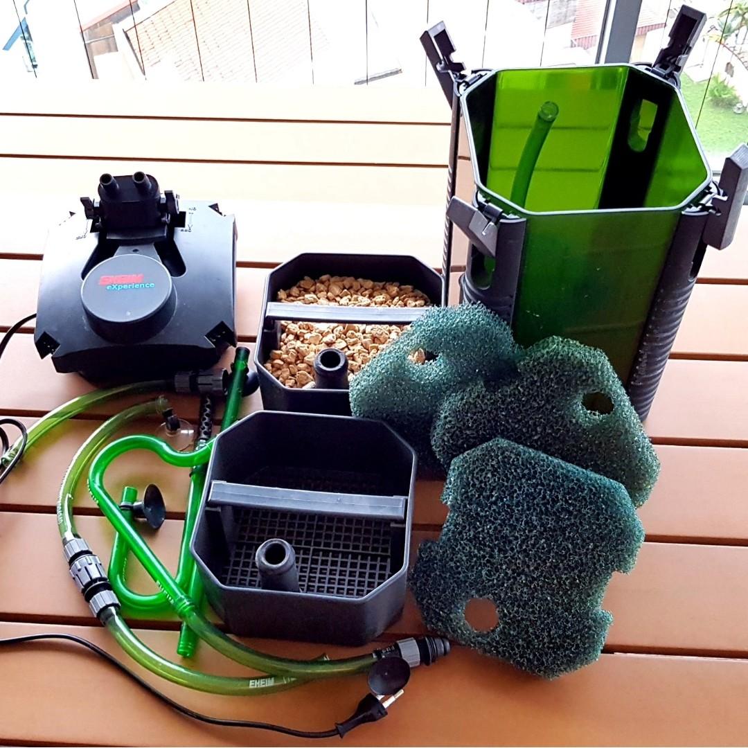Eheim eXperience 250 (2424), Pet Supplies, Homes & Other Pet ...