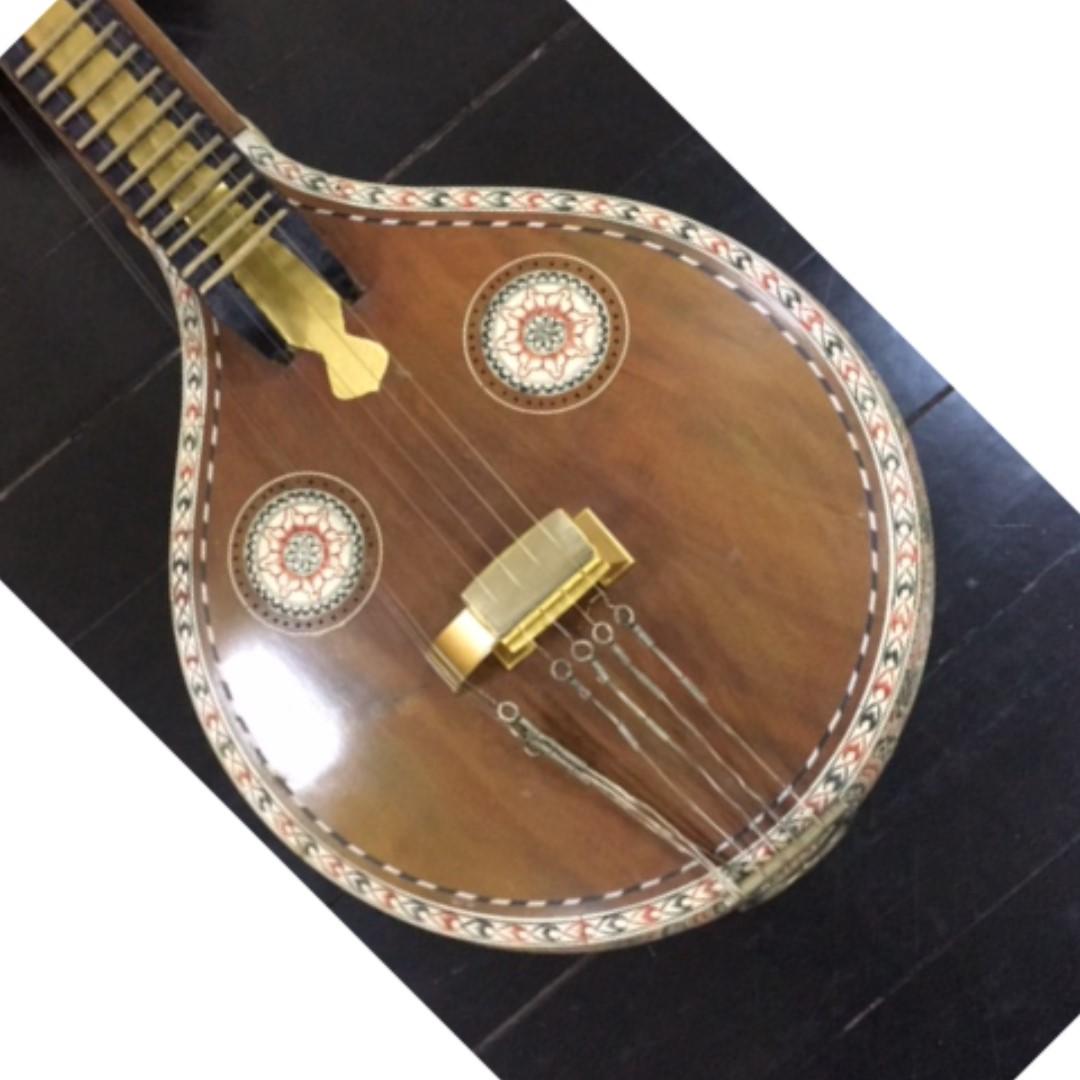 VEENAI INDIAN CLASSICAL MUSIC INSTRUMENT, Hobbies & Toys, Music & Media ...