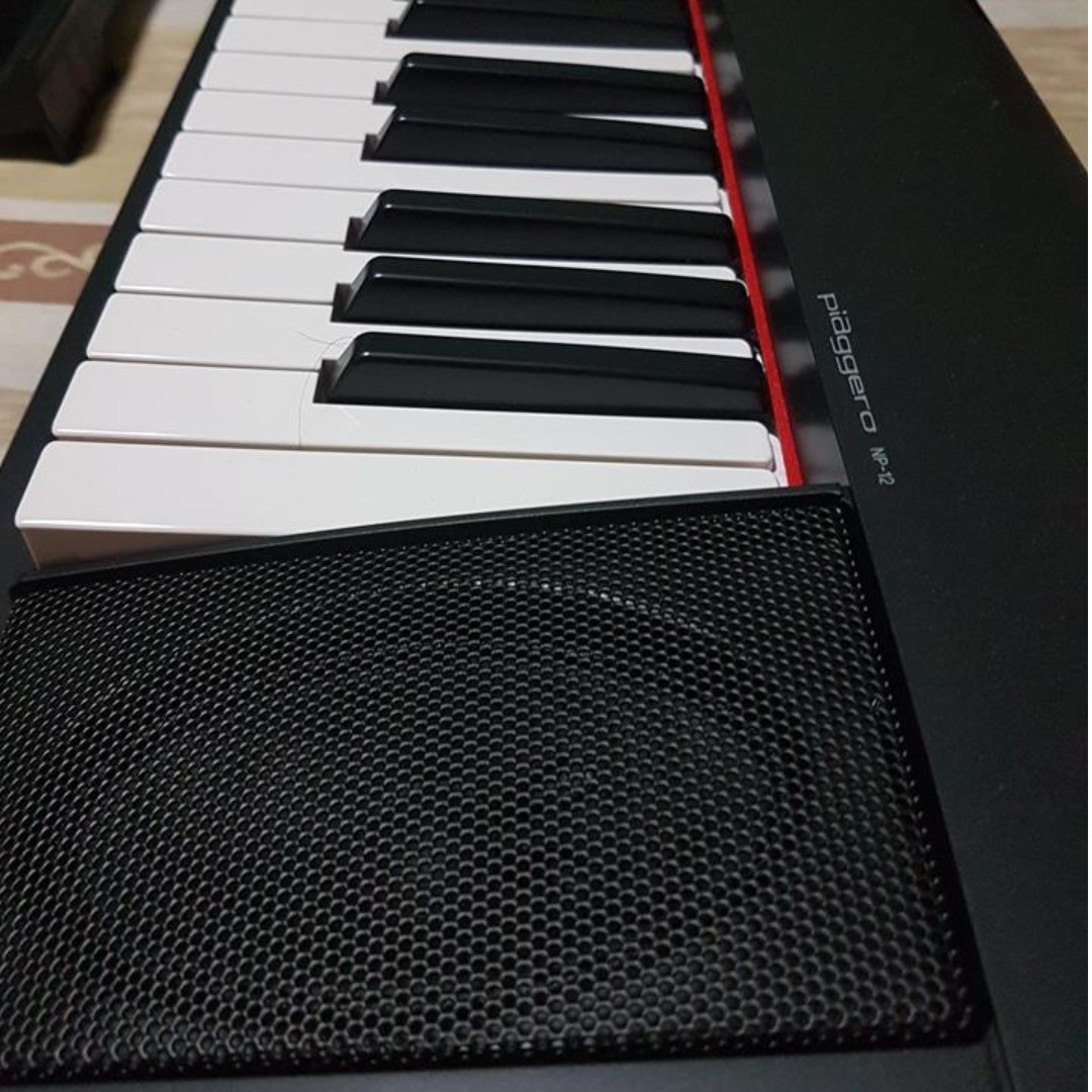 Yamaha Piaggero NP12 Almost New, Hobbies & Toys, Music & Media, CDs ...