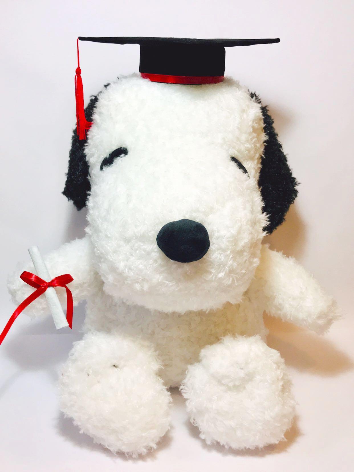 Snoopy Peanuts Graduation Convocation Plush, Hobbies & Toys, Toys ...