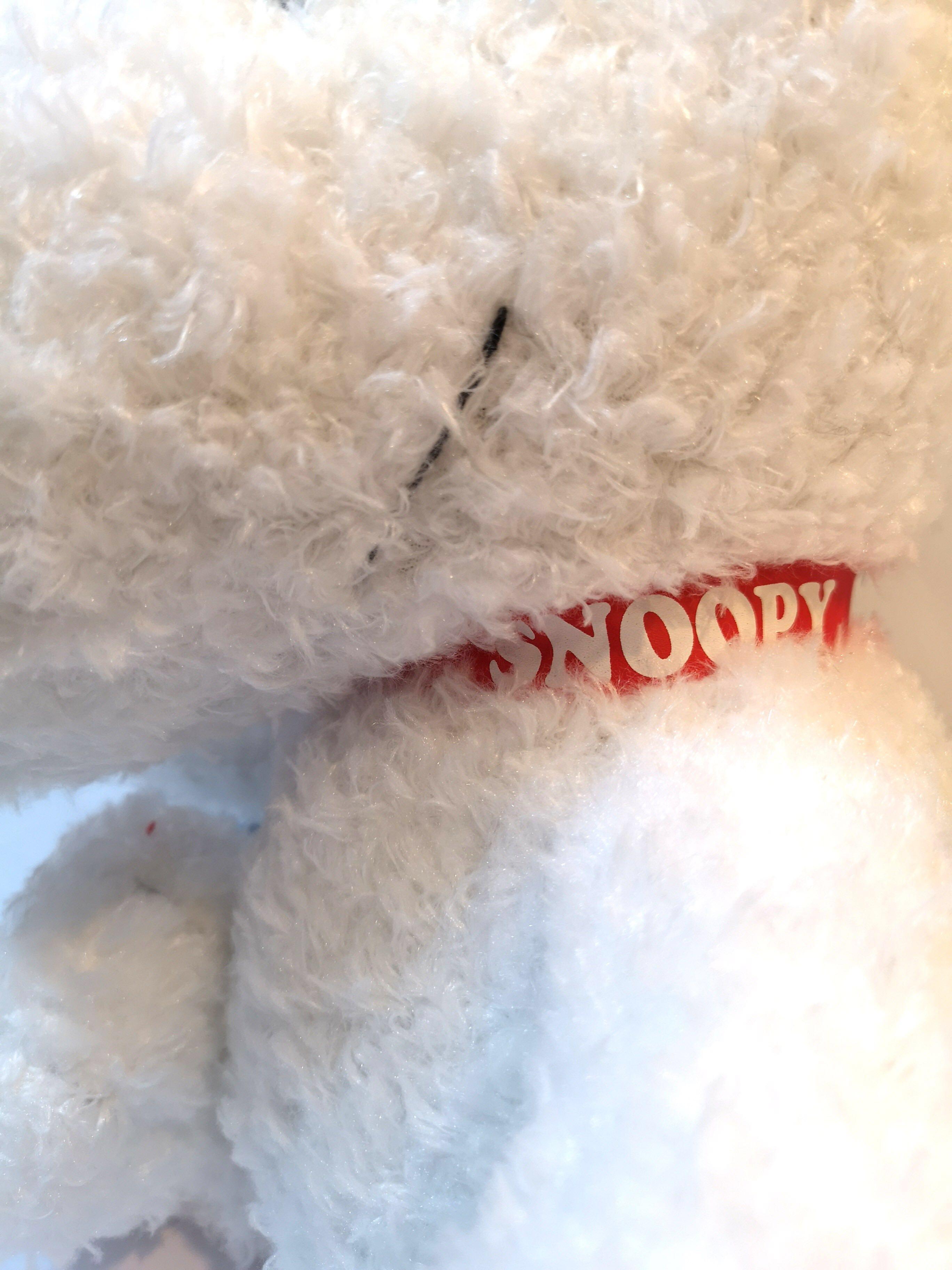 Snoopy Peanuts Graduation Convocation Plush, Hobbies & Toys, Toys ...