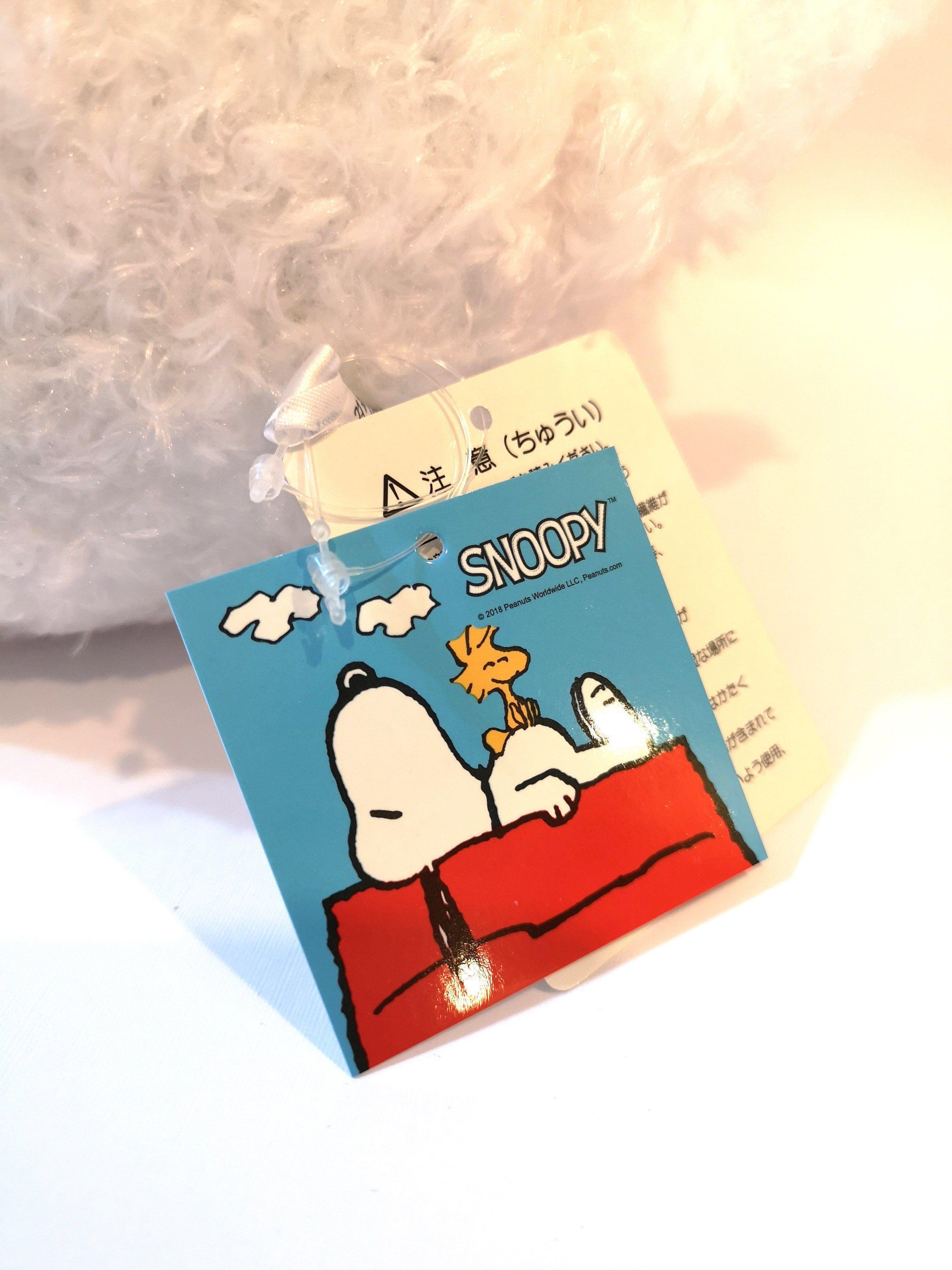 Snoopy Peanuts Graduation Convocation Plush, Hobbies & Toys, Toys ...