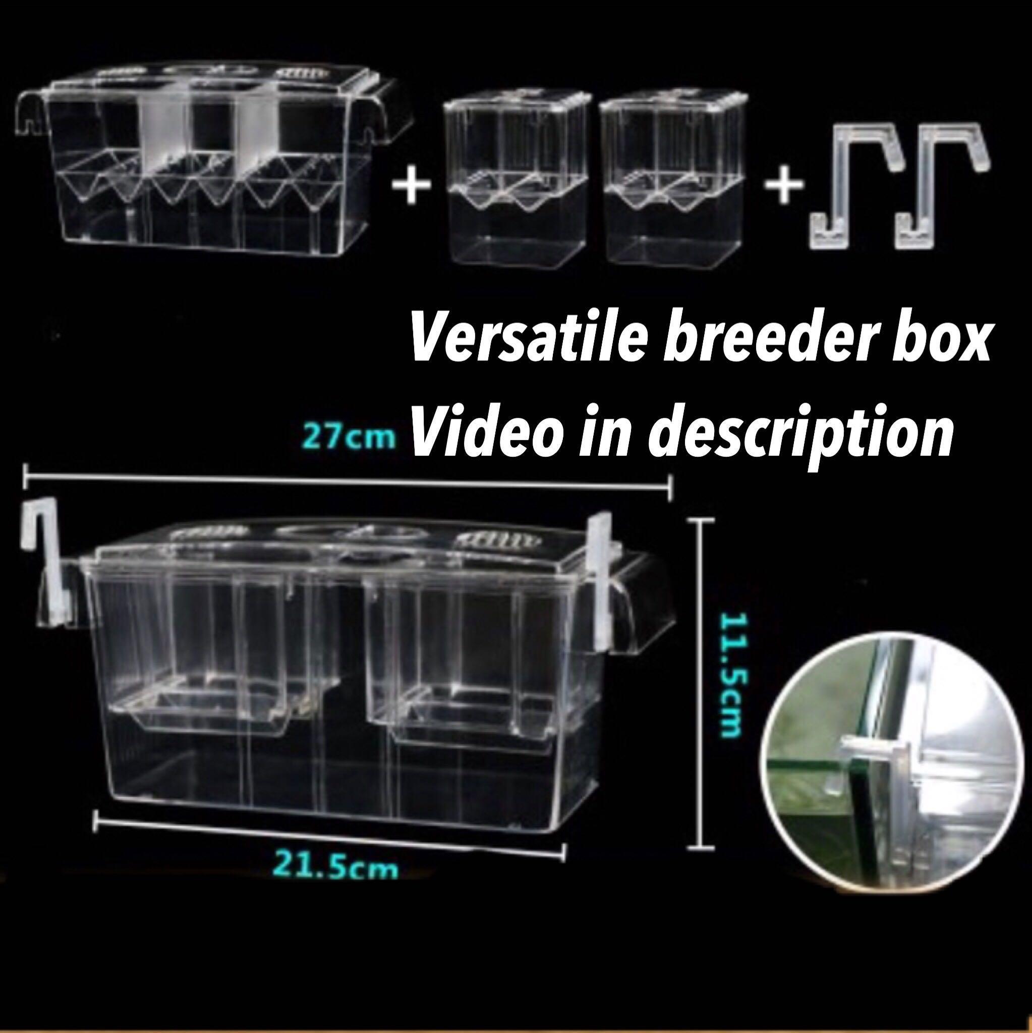 (3in1 bundle) Breeder box internal or external breed box guppy mollie ...