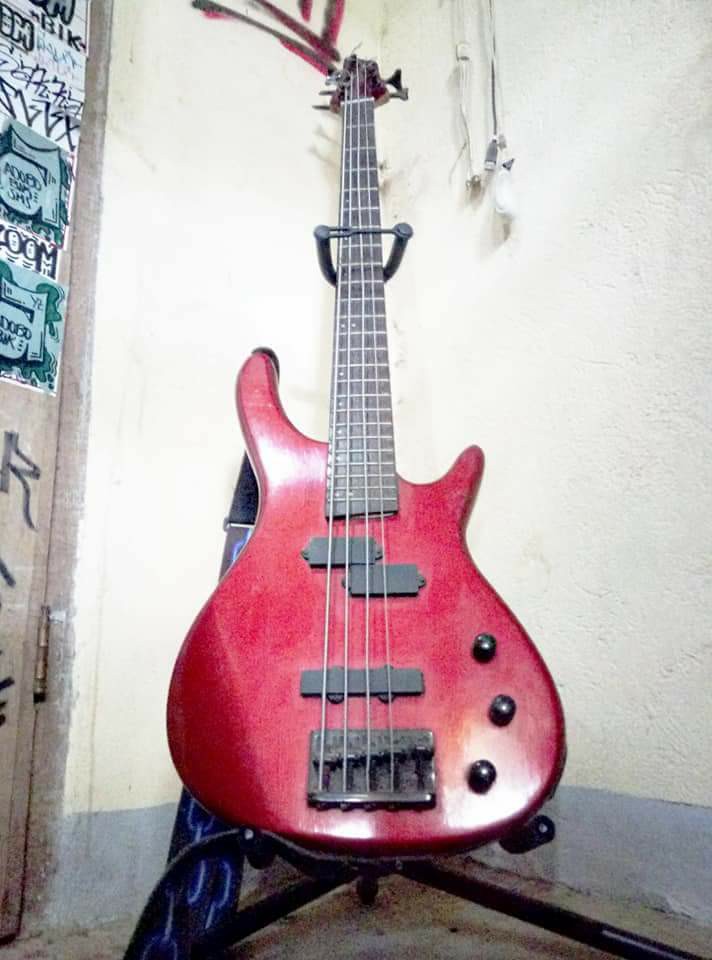 FERNANDO 5 STRINGS BASS GUITAR, Hobbies & Toys, Music & Media, CDs ...