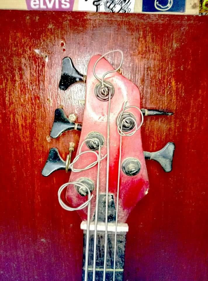 FERNANDO 5 STRINGS BASS GUITAR, Hobbies & Toys, Music & Media, CDs ...