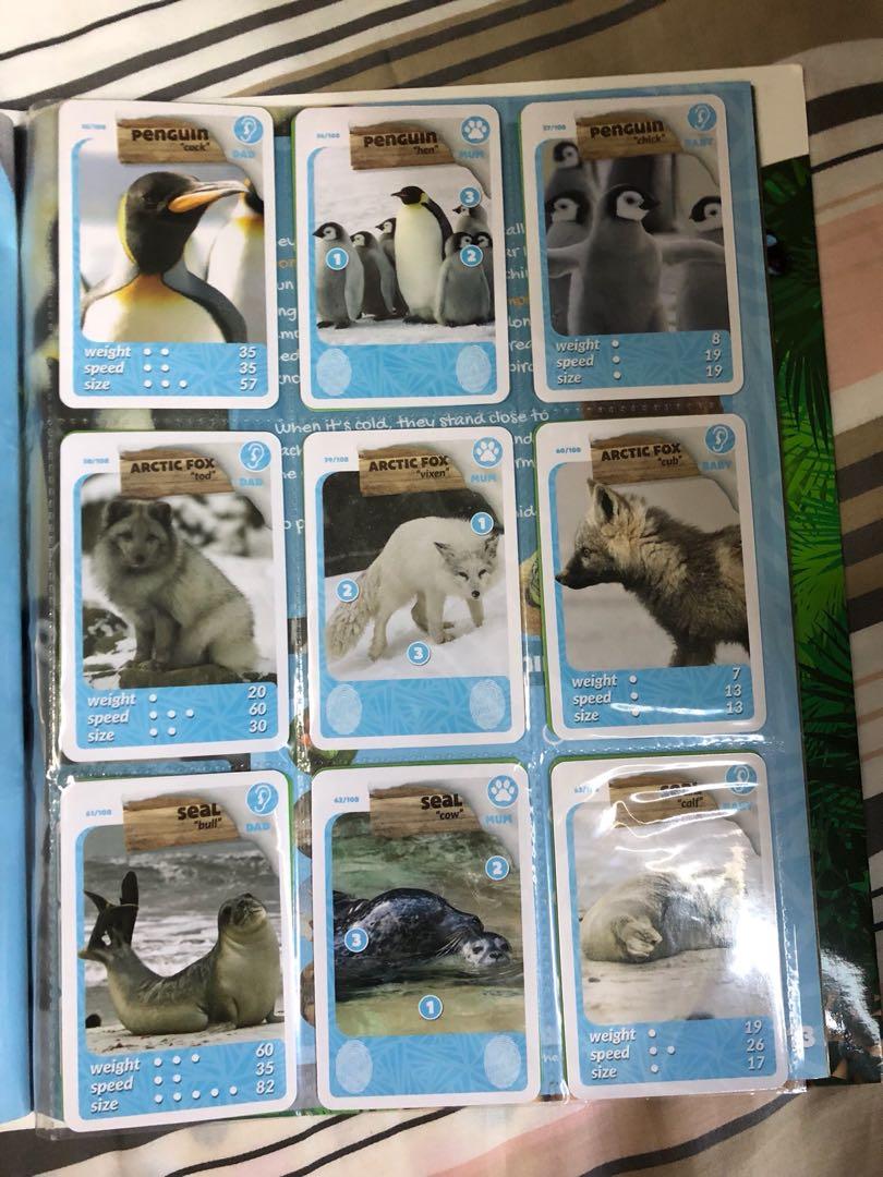 FREE: Fairprice Xtra Experience Wildlife Animals Cards, Hobbies & Toys ...