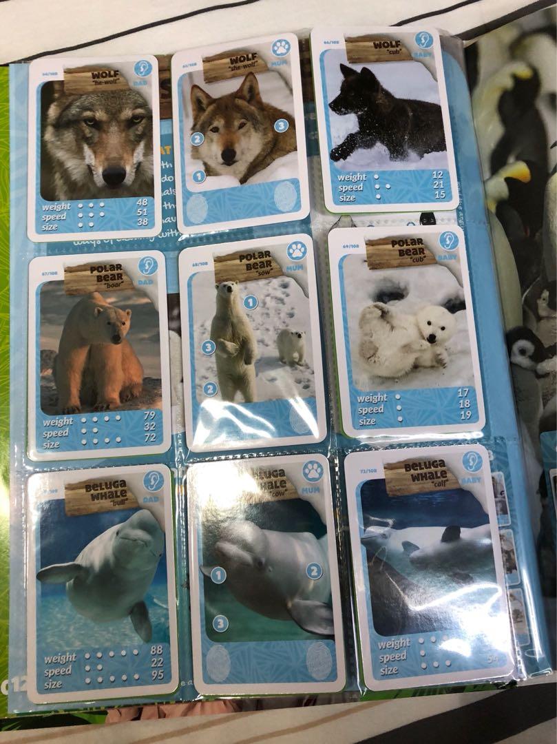 FREE: Fairprice Xtra Experience Wildlife Animals Cards, Hobbies & Toys ...