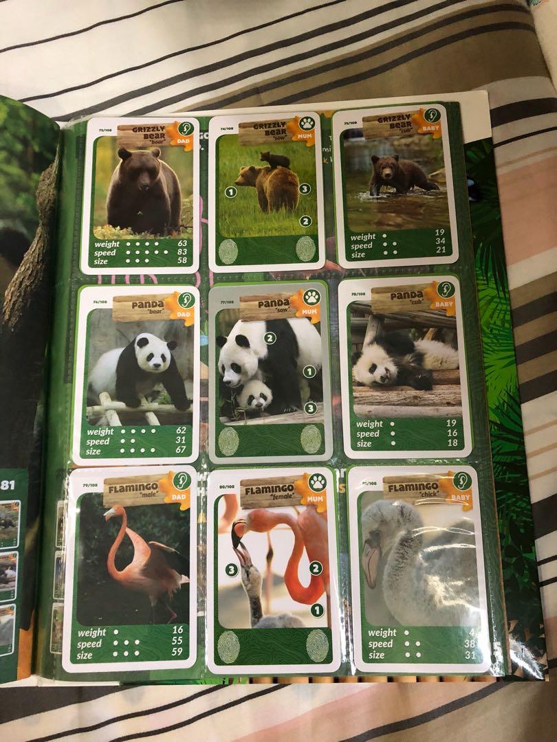 FREE: Fairprice Xtra Experience Wildlife Animals Cards, Hobbies & Toys ...