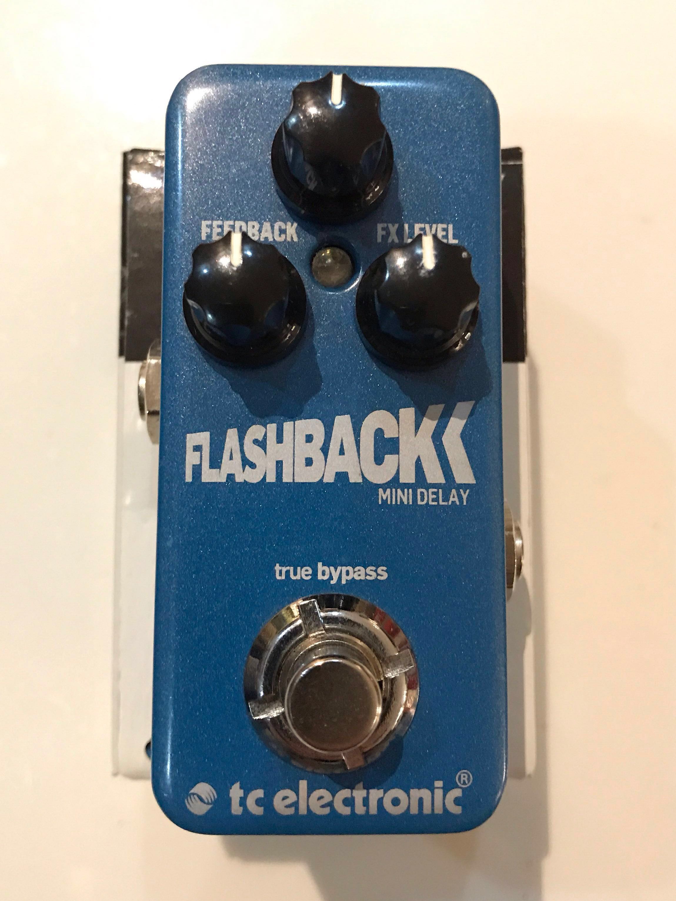 TC Electronic Flashback Mini Delay, Hobbies & Toys, Music & Media ...