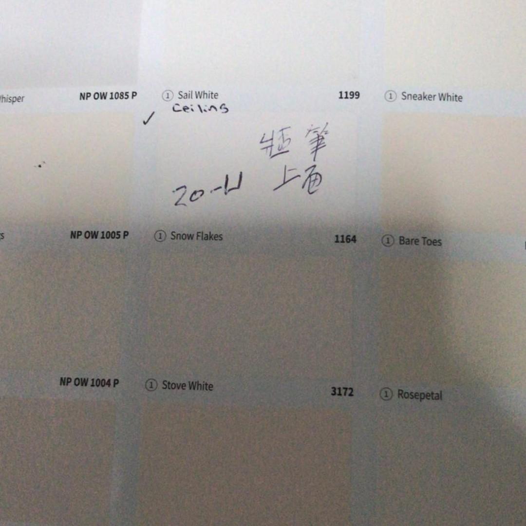 Wall Paint - Nippon Snowflakes 1164 (10L), Everything Else on Carousell