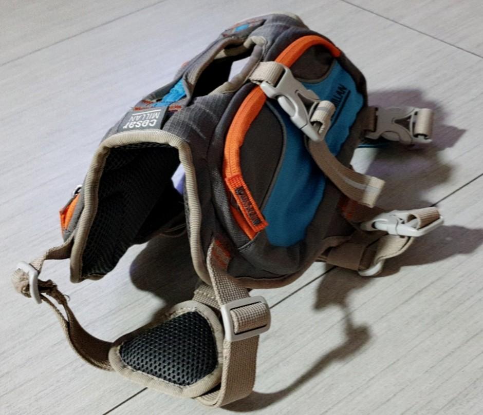 Cesar Millan Backpack (S), Pet Supplies, Homes & Other Pet Accessories ...