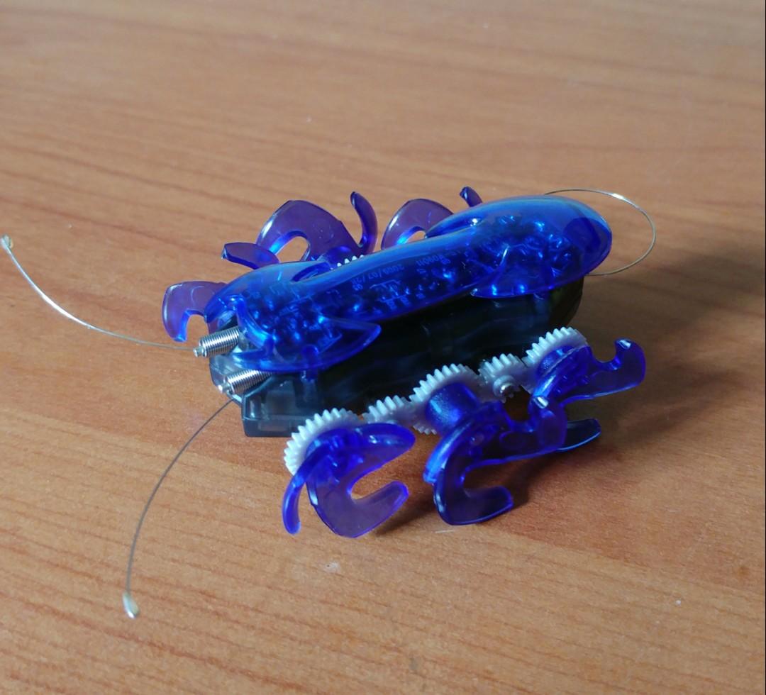 Hex Bug Ant, Babies & Kids, Baby Nursery & Kids Furniture, Other Kids ...