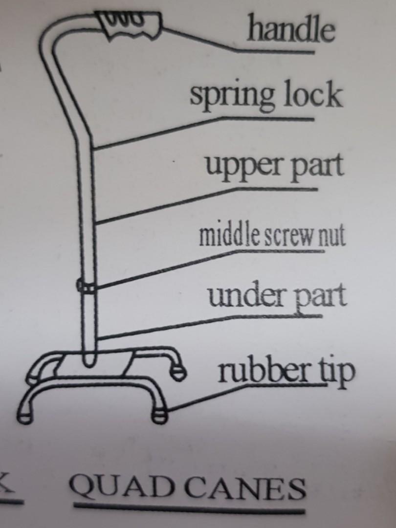 Guardian Quad Cane (Walking Aid), Health & Nutrition, Assistive ...