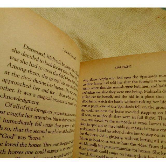 Malinche by Laura Esquivel, Hobbies & Toys, Books & Magazines, Children ...