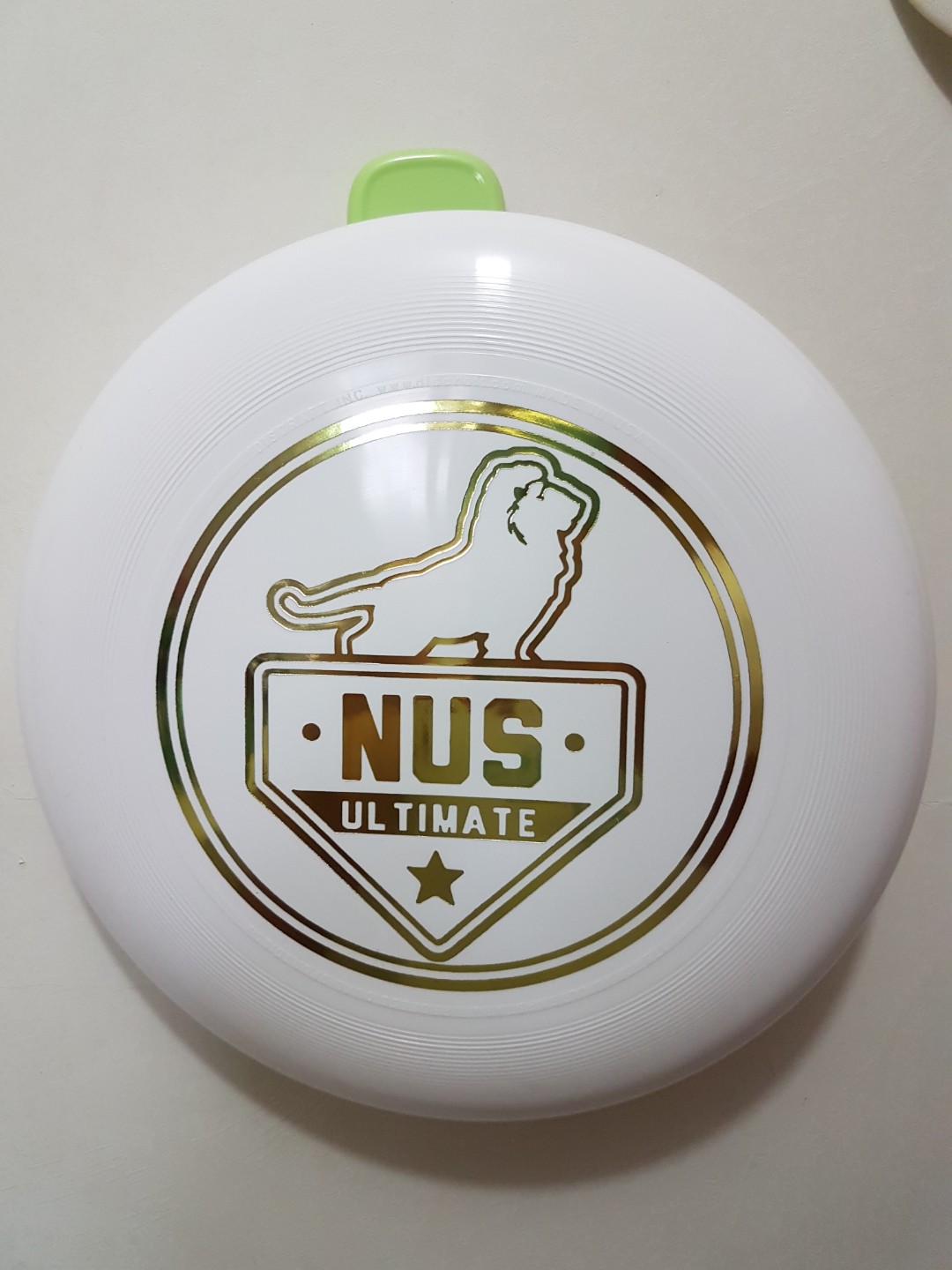 NUS Ultimate Frisbee Disc, Sports Equipment, Sports & Games, Racket ...