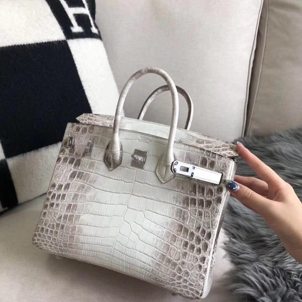 Hermes Birkin 25 Alligator skin, Luxury, Bags & Wallets on Carousell