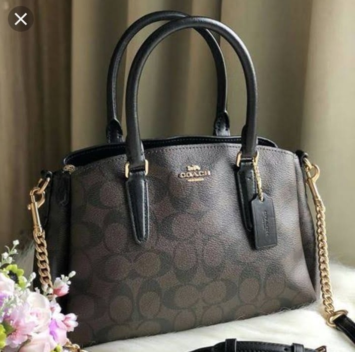 Coach F29434 Mini Sage Carryall In Signature Canvas Khaki Saddle ...