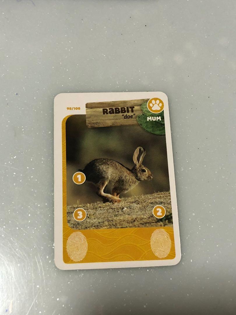 FairPrice Xtra Animal Card Rabbit /Kangaroo mum, Hobbies & Toys, Toys ...
