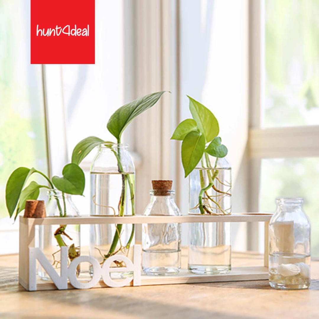 NOEL glass container, Furniture & Home Living, Gardening, Gardening ...