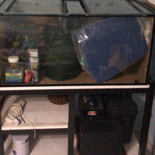 4ft tank. 422 tank with stand, Pet Supplies, Homes & Other Pet ...
