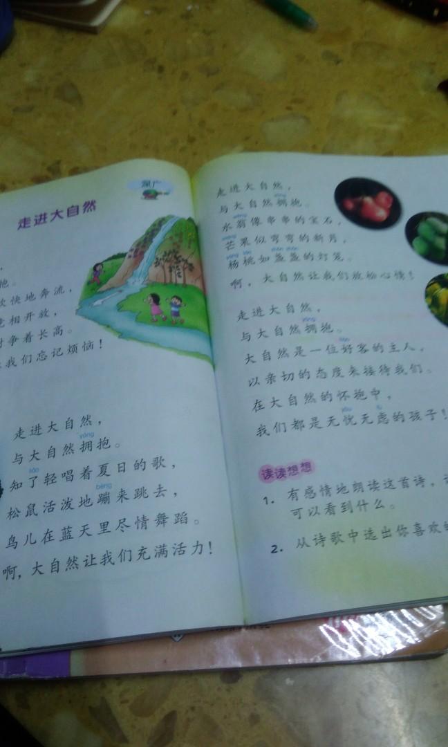 Chinese P5 5A and 5B textbooks, Hobbies & Toys, Books & Magazines ...