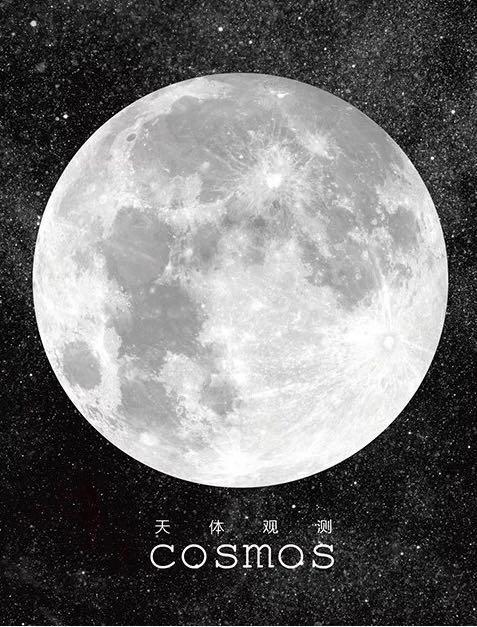 Cosmo Post-its, Hobbies & Toys, Stationery & Craft, Stationery & School ...