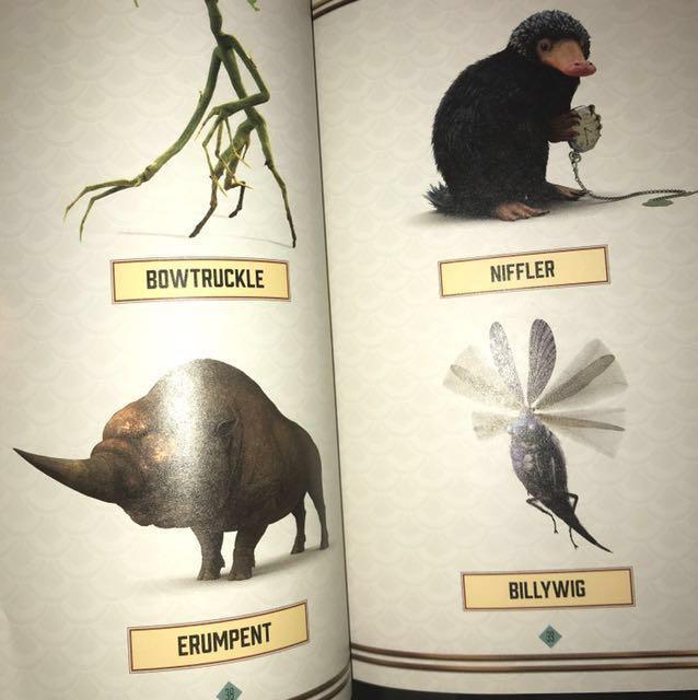 Harry Potter Billywig - Billywig Su Harry Potter Enciclopedia ...