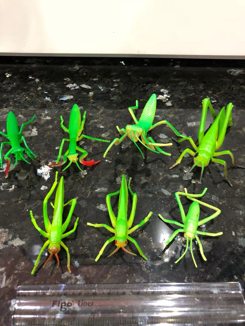 Play Pretend Children Toys Science Project School Grasshopper Cricket ...