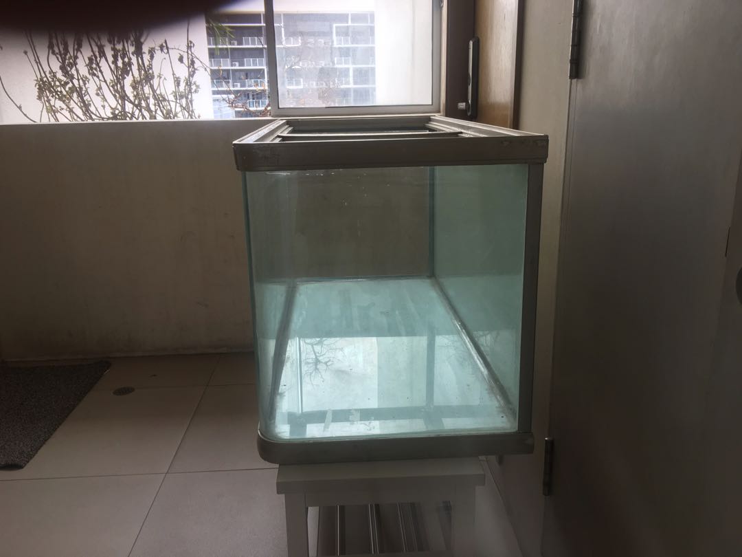 4 x 2 ft fish tank, Pet Supplies, Homes & Other Pet Accessories on ...