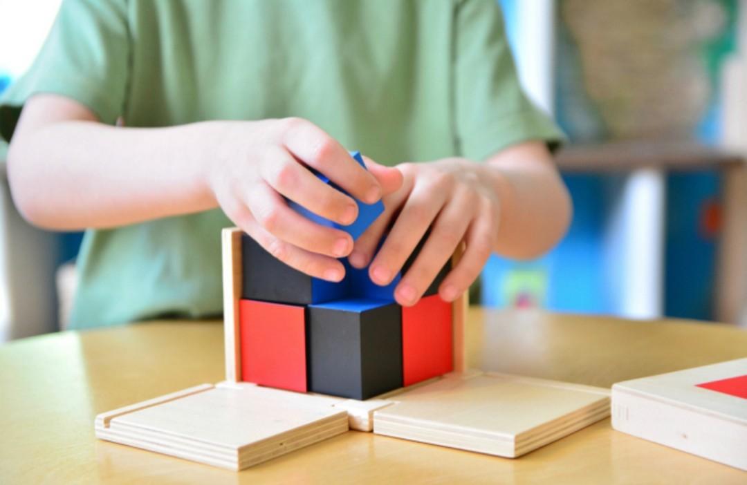 BN Montessori Sensorial Spatial Visual Senses Large Binomial Wooden ...