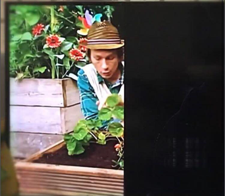 Samsung 55UA JU6600 KXXS UHD 4K Smart TV, TV & Home Appliances, TV ...