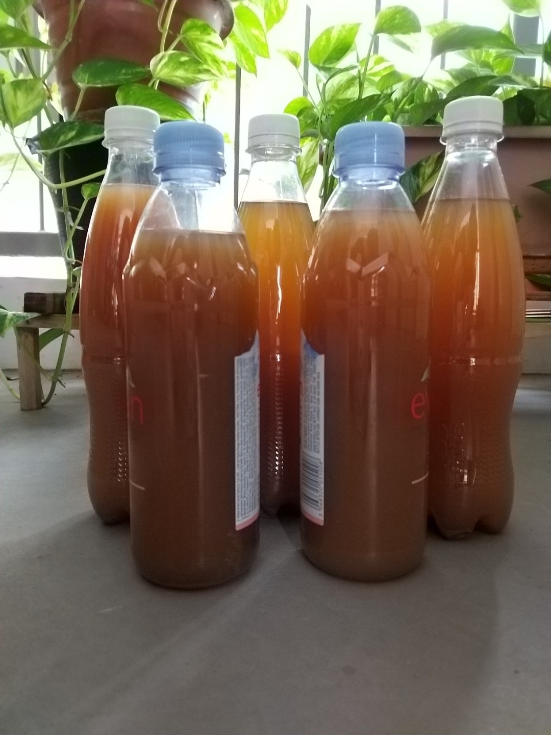 Homemade Eco Enzyme Cleaner / Fertilizer, Everything Else on Carousell