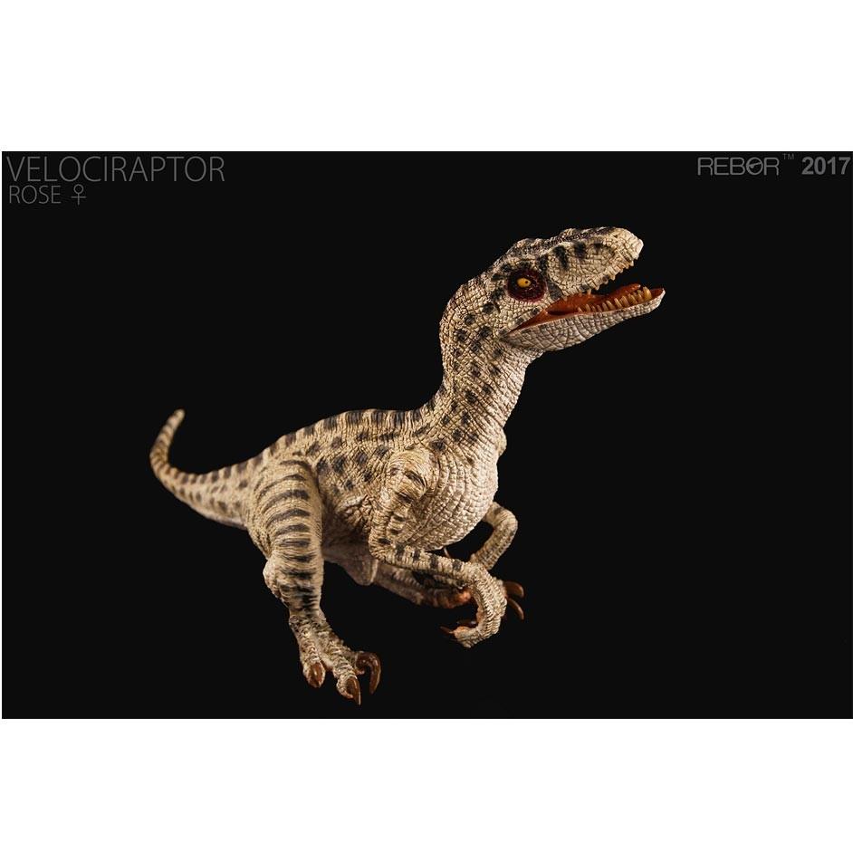 Rebor Velociraptor (Gunn/Rose), Hobbies & Toys, Toys & Games on Carousell
