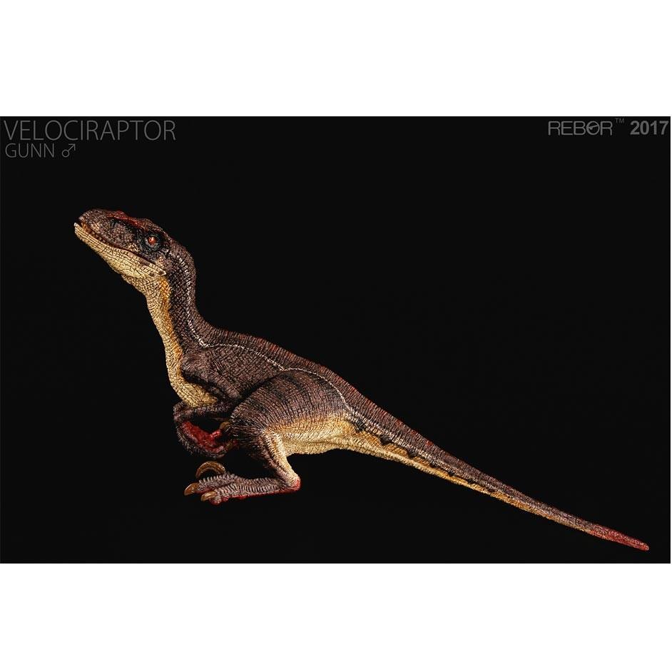 Rebor Velociraptor (Gunn/Rose), Hobbies & Toys, Toys & Games on Carousell